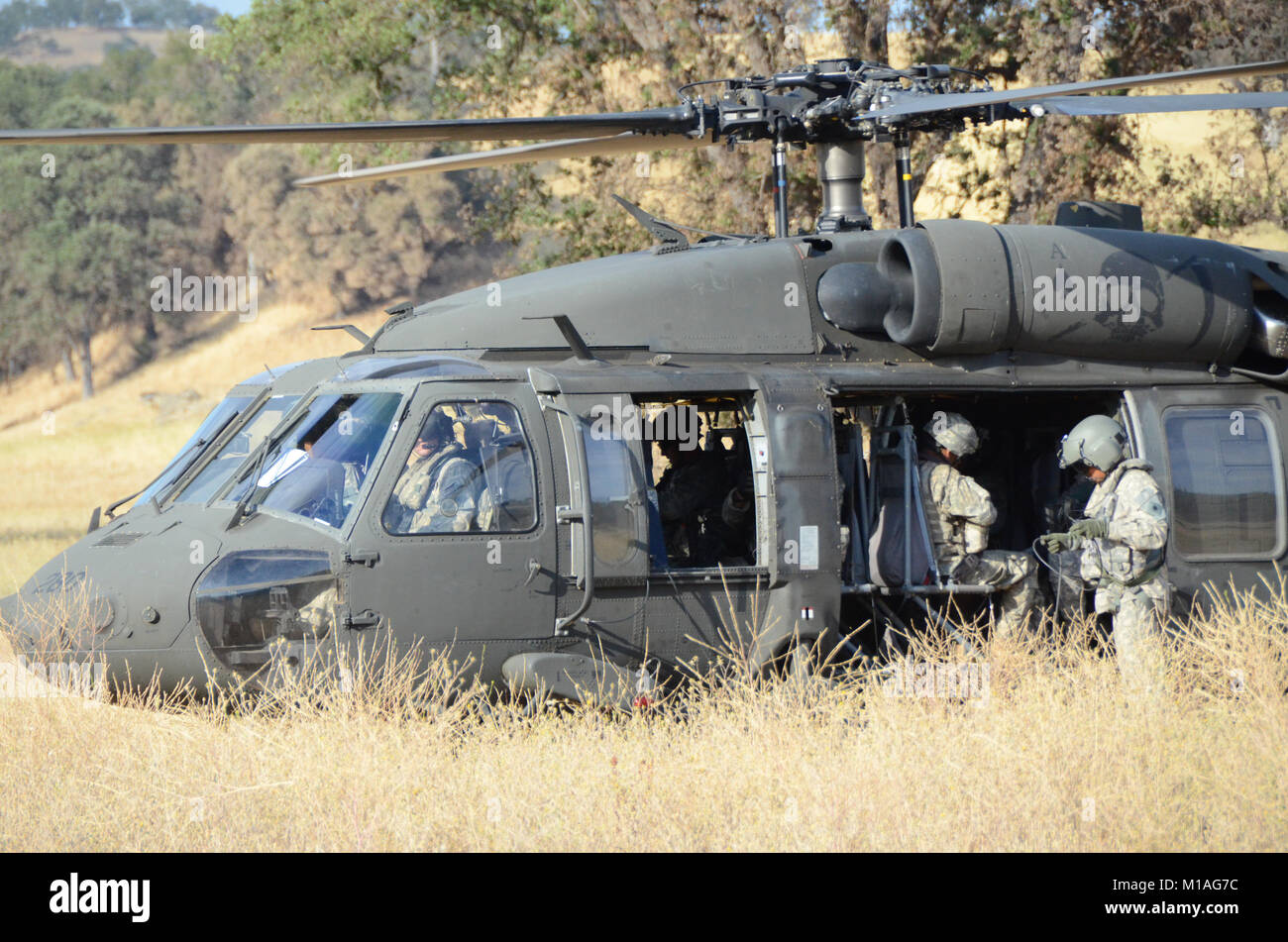 1 184th infantry regiment hi-res stock photography and images - Alamy