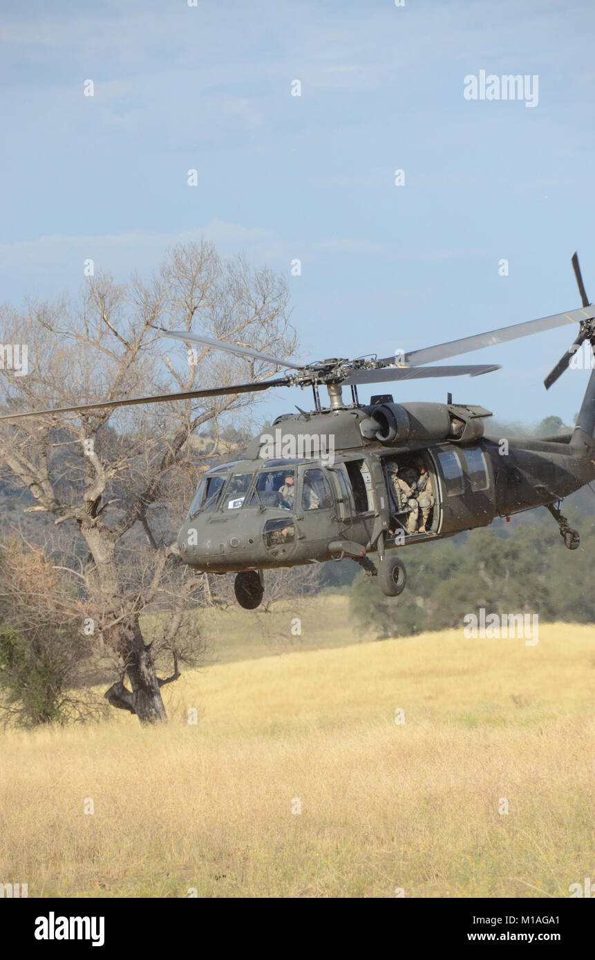 1 184th infantry regiment hi-res stock photography and images - Alamy