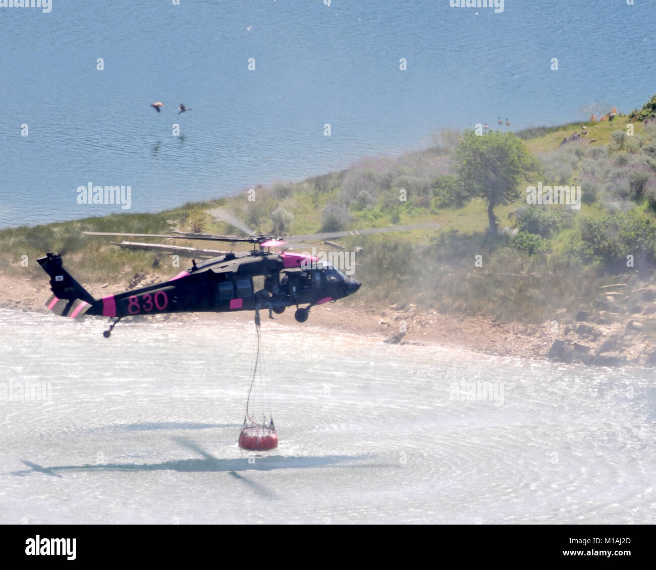 California National Guard helicopters and key personnel conduct "Wild ...