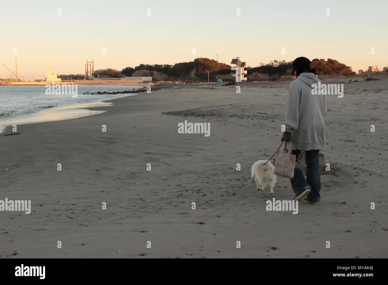 Japanese tsunami dog hi-res stock photography and images - Alamy