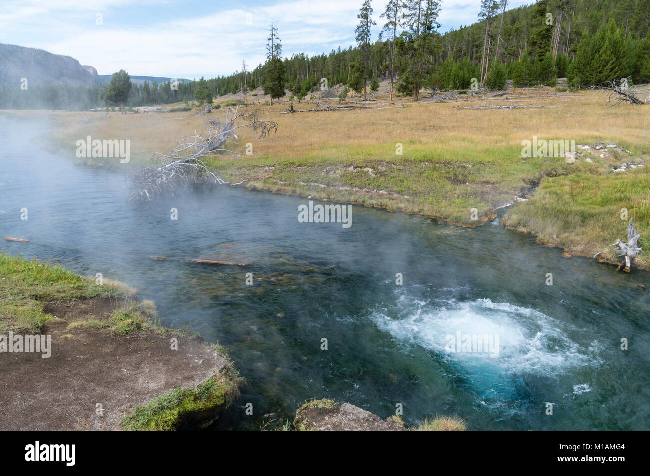 Hot water bubbling up in one of the pools at Terrace Springs thermal ...