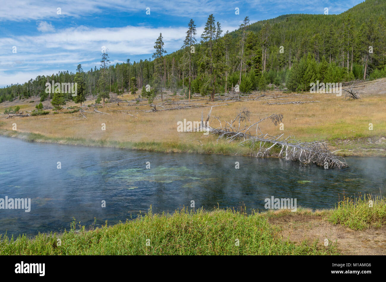 Warm water from the Terrace Springs thermal feature flows through a ...