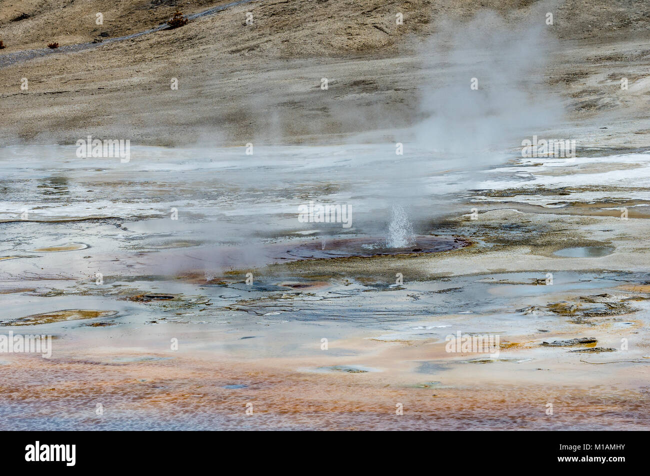 Bubbling hot springs in Norris Geyser Basin. Yellowstone National Park ...