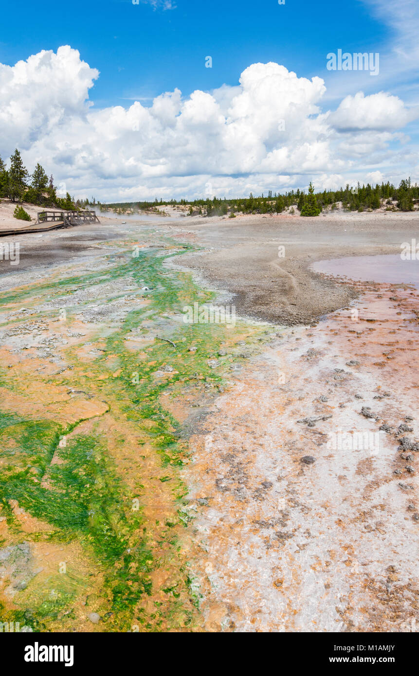 Hot spring algae hi-res stock photography and images - Alamy