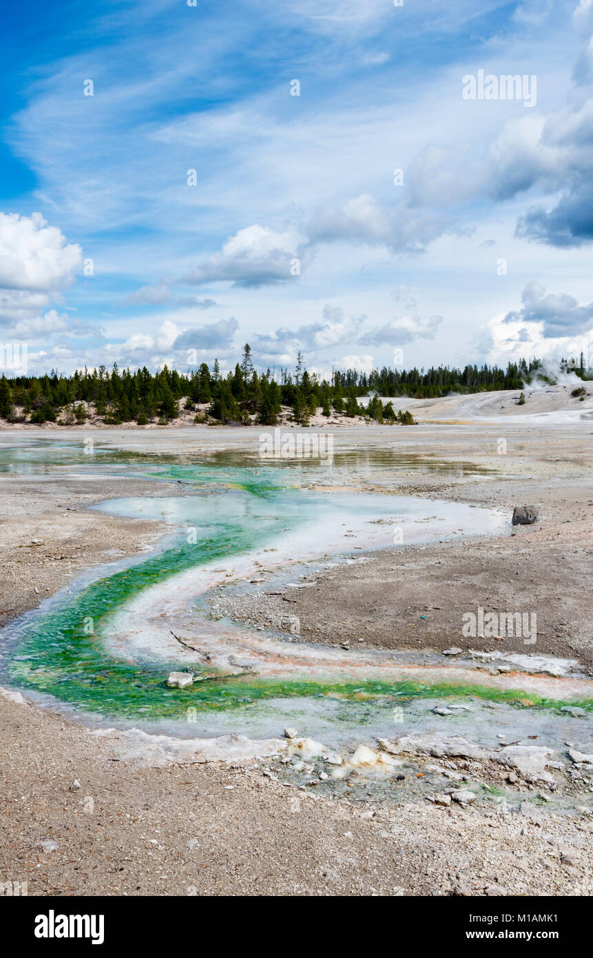 Algae mat hi-res stock photography and images - Alamy