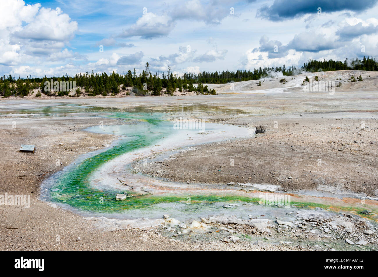 Hot spring yellowstone algae steam hi-res stock photography and images ...