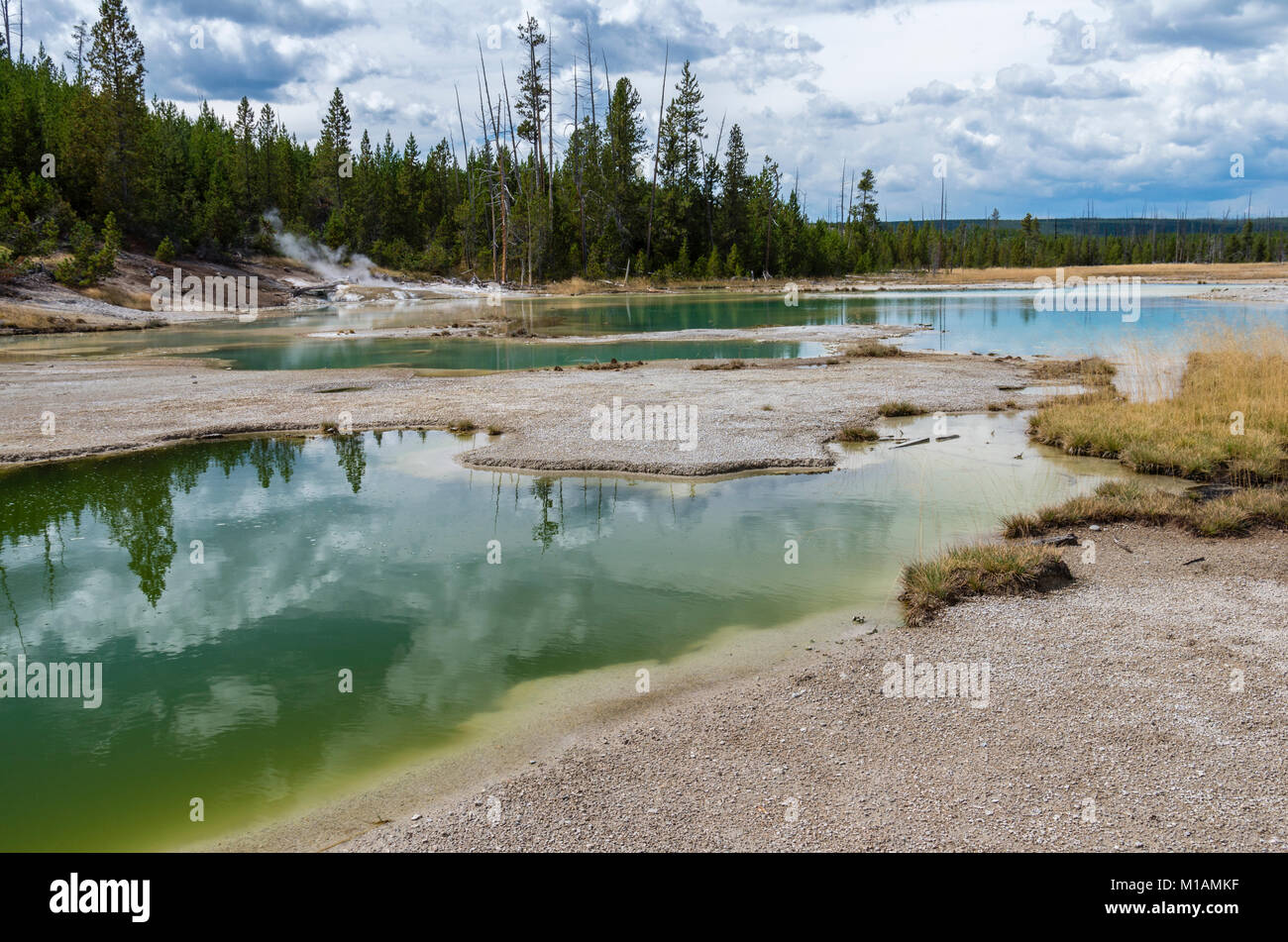 Geothermal features in the Crackling Lake area of the Norris Geyser ...