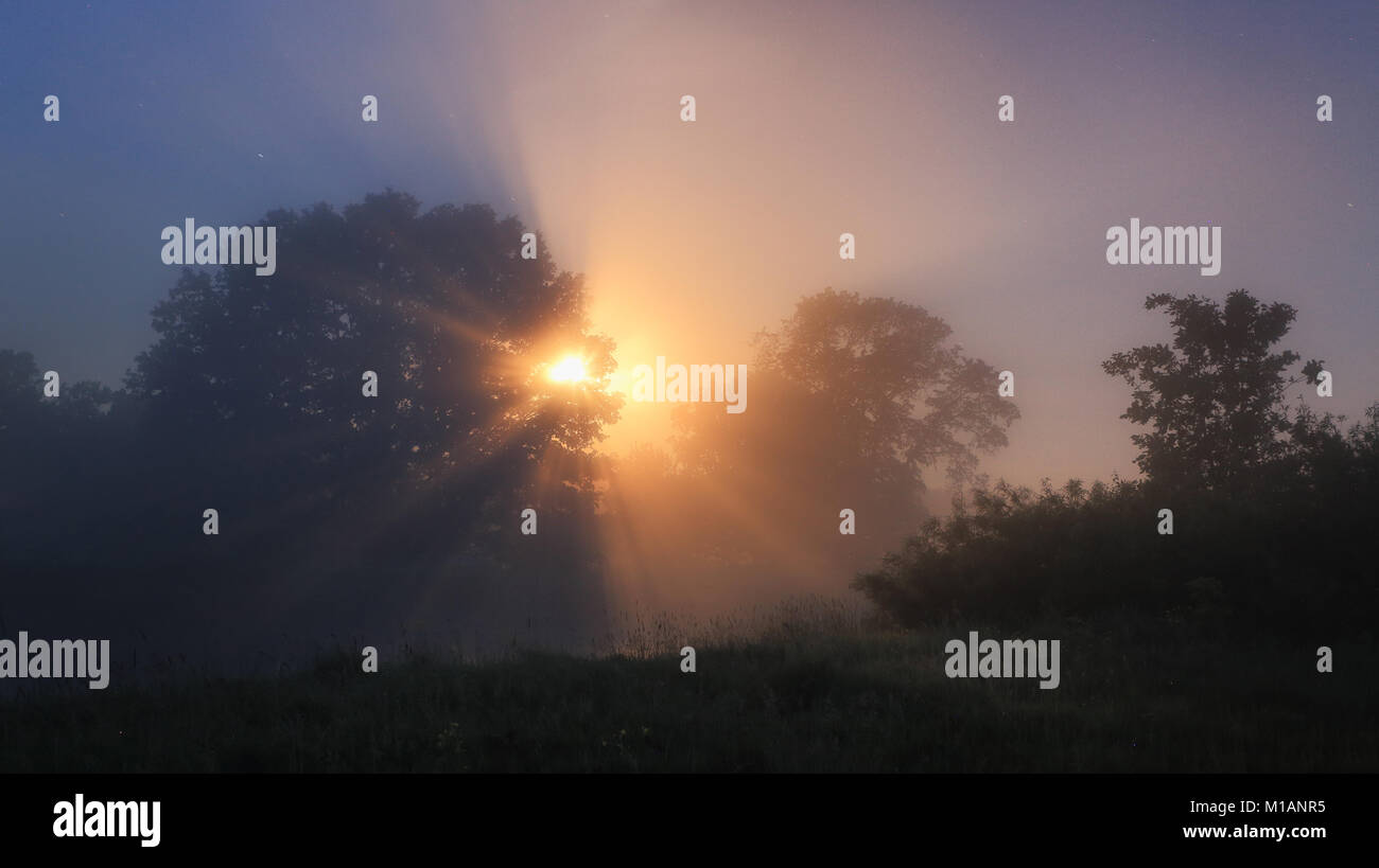 Mist moon night hi-res stock photography and images - Alamy