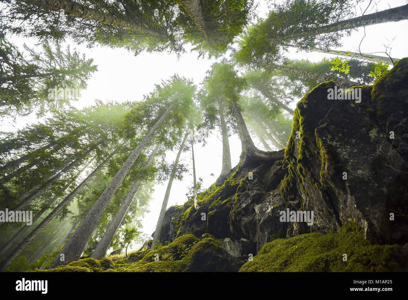 Beautiful landscape in Dolomites Stock Photo - Alamy