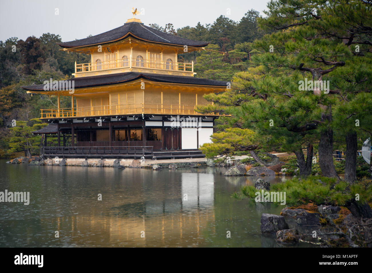Golden Temple, Kyoto, Japan Stock Photo - Alamy