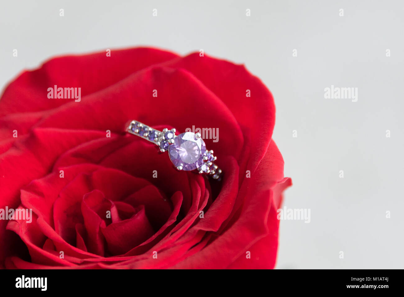Inside flower ring hi-res stock photography and images - Alamy