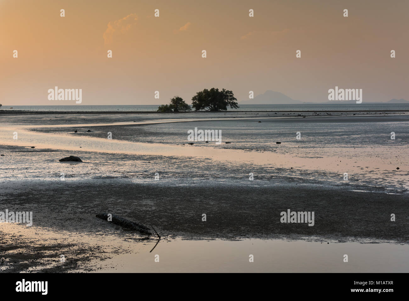 Swamp landscape hi-res stock photography and images - Alamy