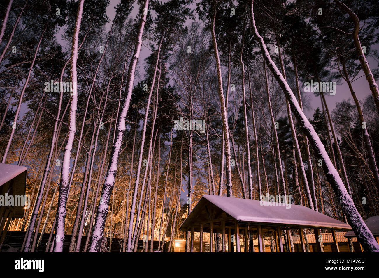 wooden cottage in snowy forest in night Stock Photo - Alamy