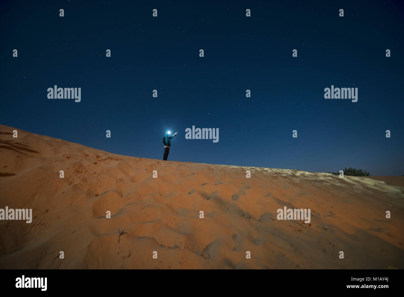 Night thar desert rajasthan hi-res stock photography and images - Alamy