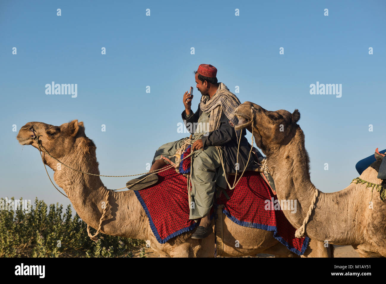 Modern day camel trekking in the Thar Desert, Rajasthan, India Stock ...
