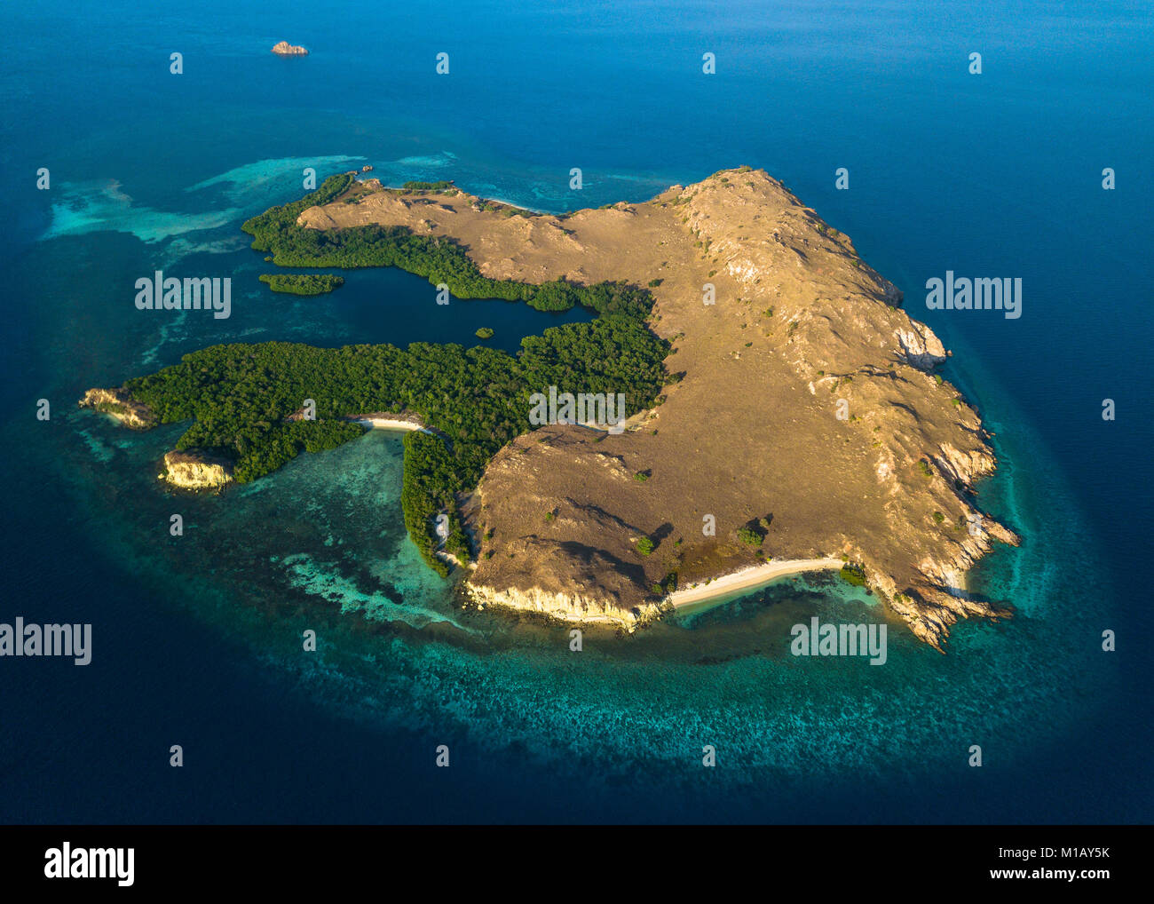 Drone photo of a beautiful, tropical island, sandy beach, mangrove ...