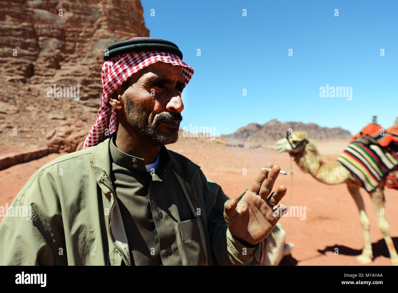 A Bedouin man and his camel Stock Photo - Alamy