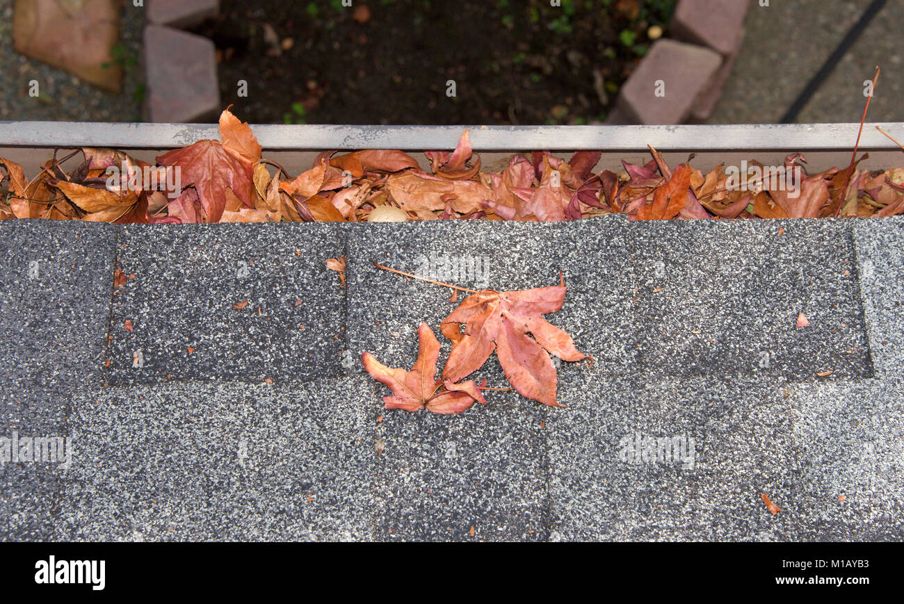 Close up on section of rain gutter on residential home, clogged with ...