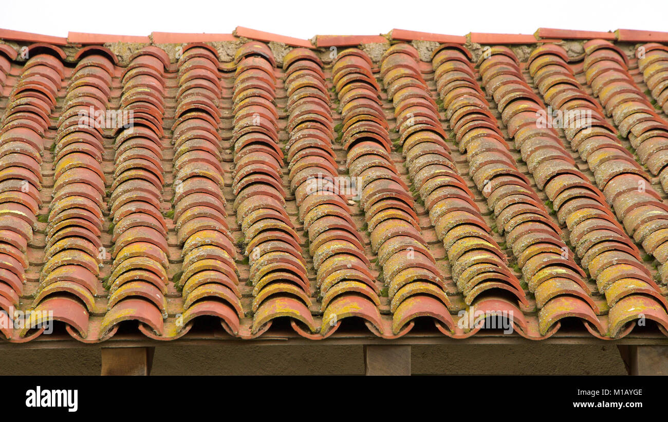 Moss covered roof tiles hi-res stock photography and images - Alamy