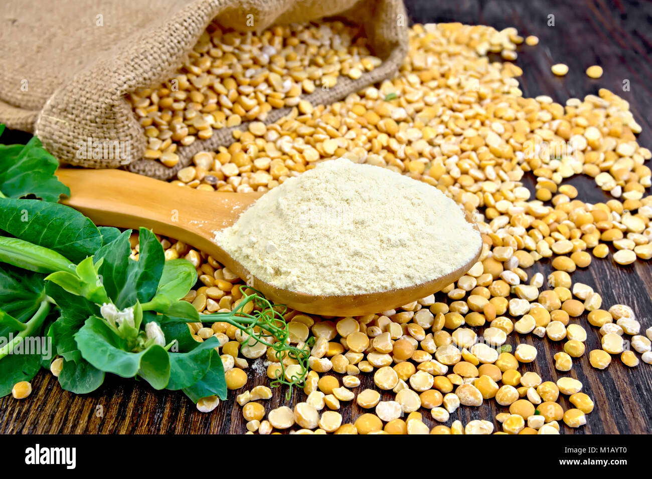 Flour pea in a spoon, fresh pods and split pease on a wooden boards ...