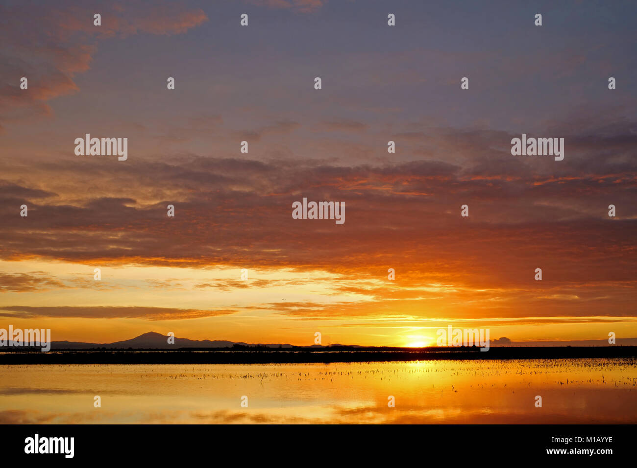 Sacramento river delta hi-res stock photography and images - Alamy