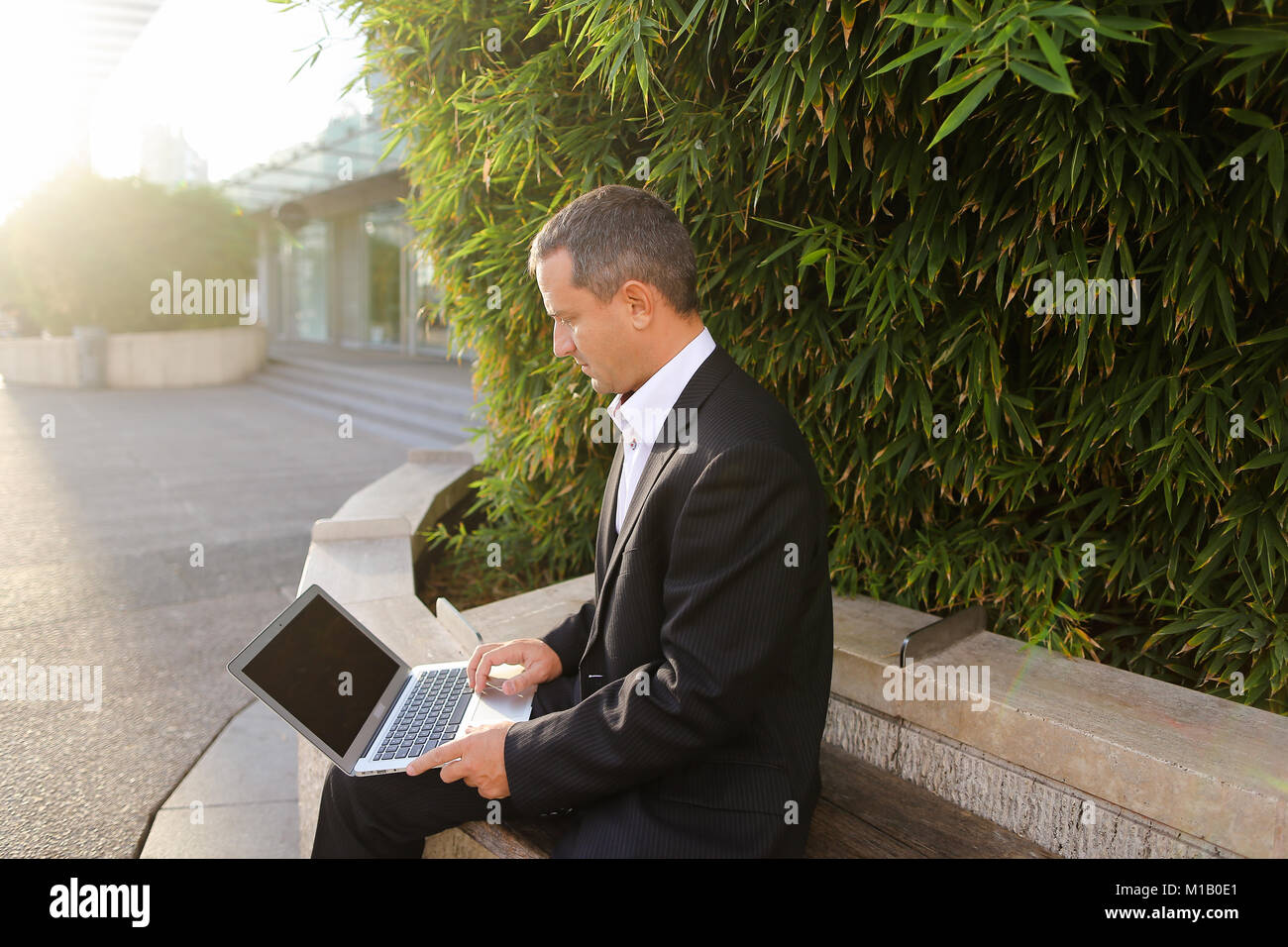 Businessman working with laptop outside near plant in Stock Photo - Alamy