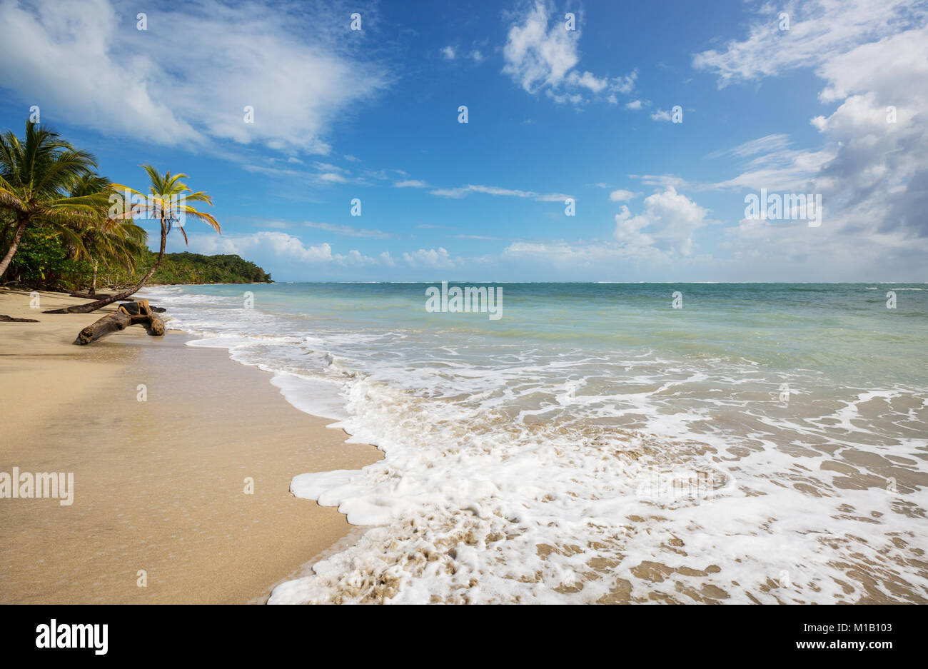 Beautiful tropical Pacific Ocean coast in Costa Rica Stock Photo - Alamy