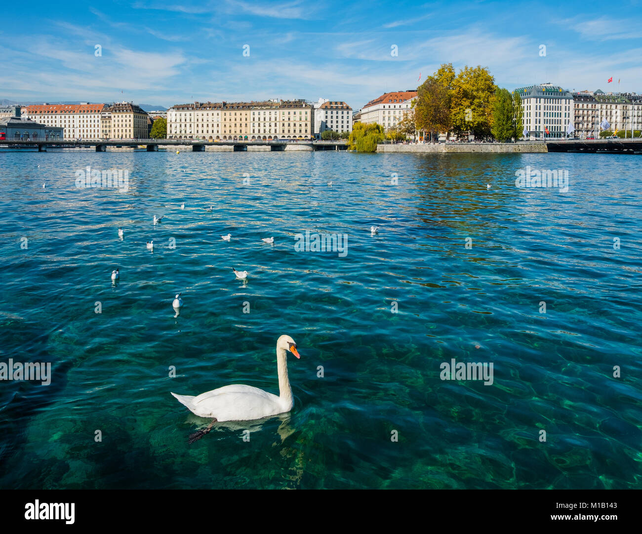 Rhone river in downtown Geneve, swiss Stock Photo - Alamy