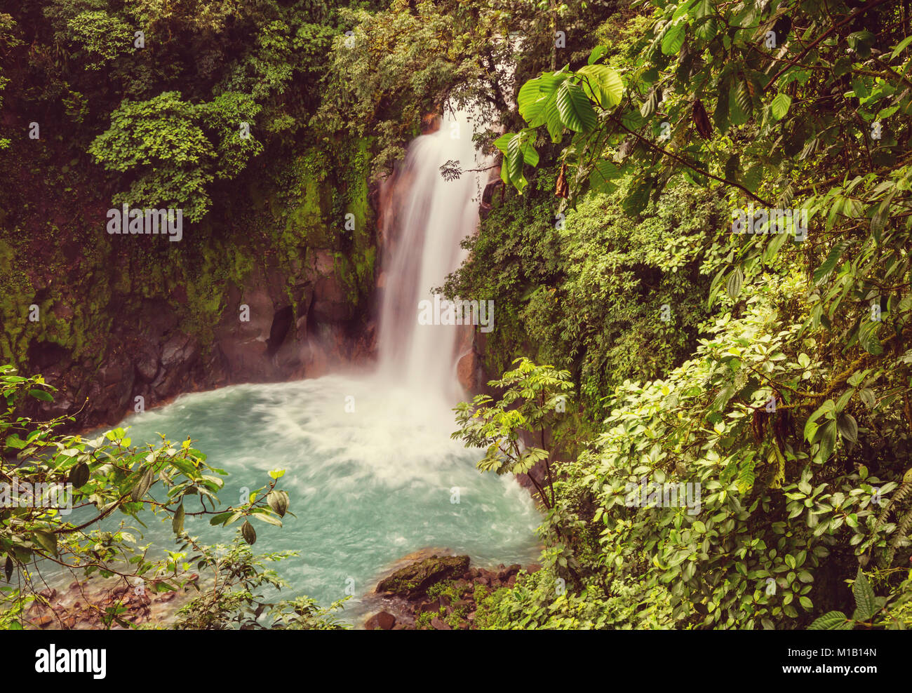 Majestic waterfall in the rainforest jungle of Costa Rica. Tropical ...