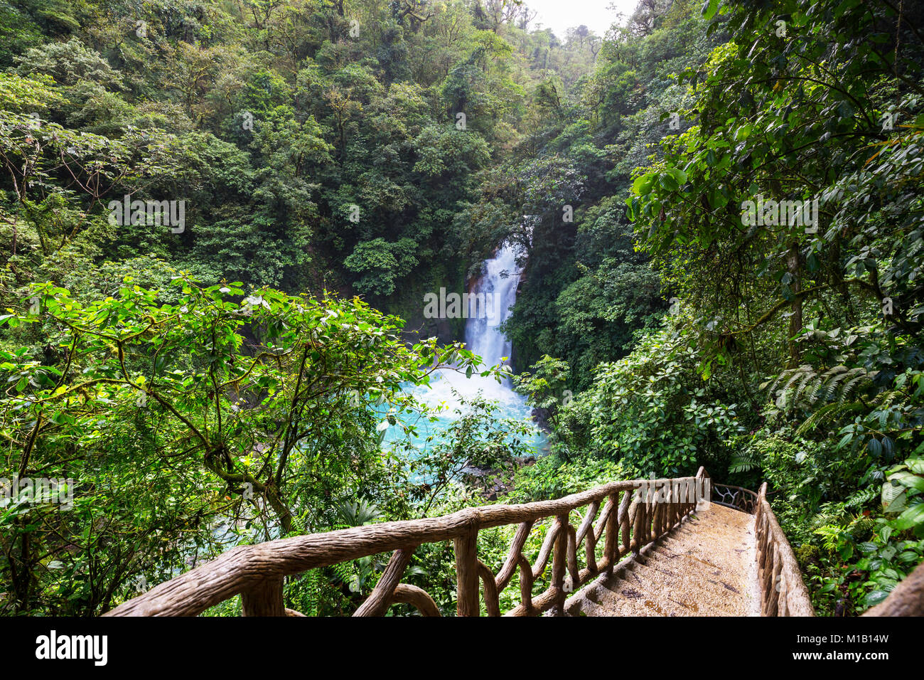 Majestic waterfall in the rainforest jungle of Costa Rica. Tropical ...