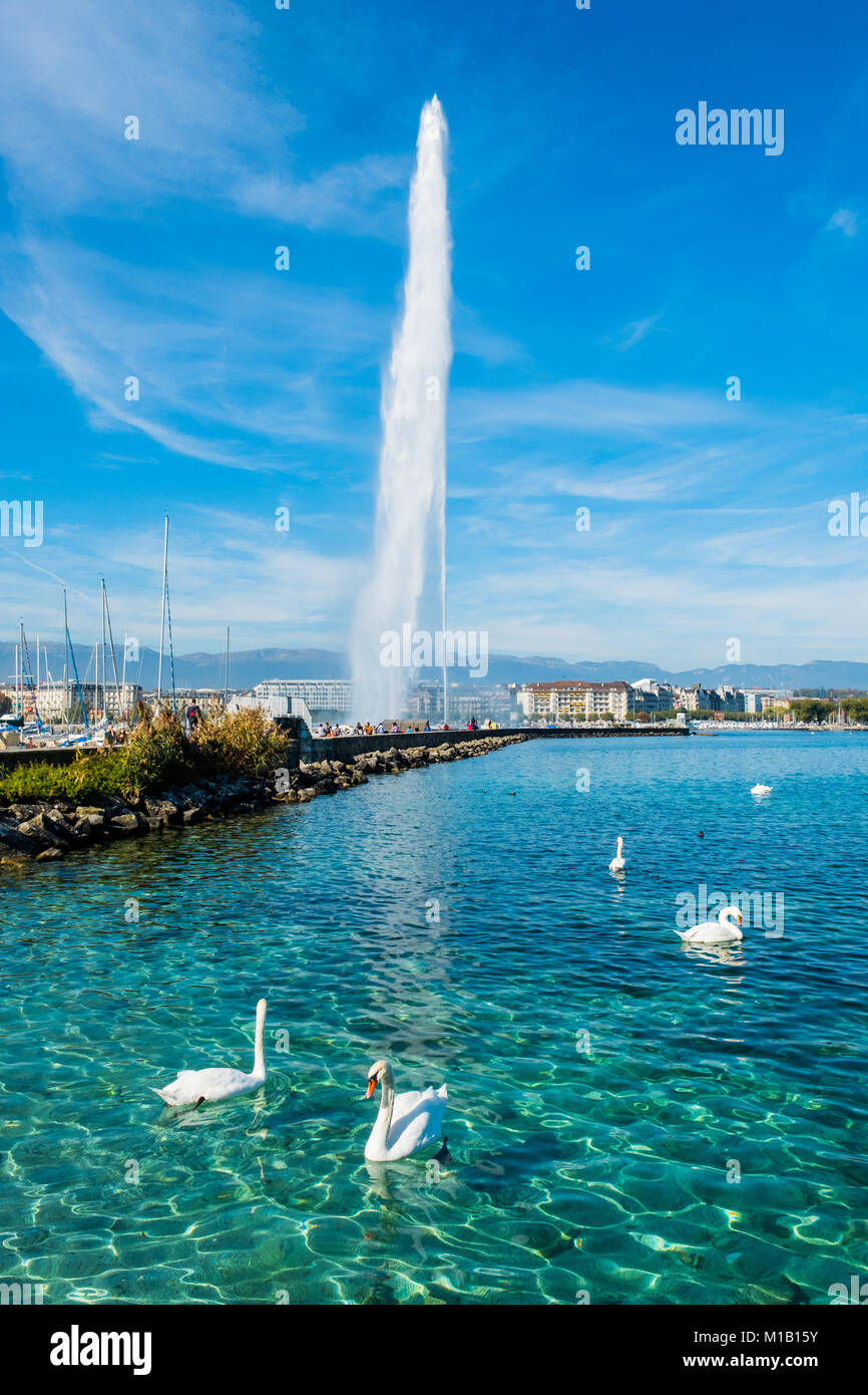 The Leman lake in Geneve, Swiss Stock Photo - Alamy
