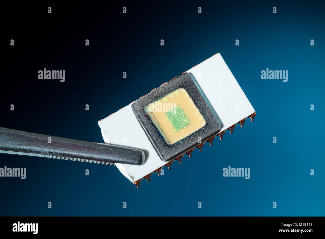 Integrated semiconductor microchip microprocessor on blue hi-res stock ...