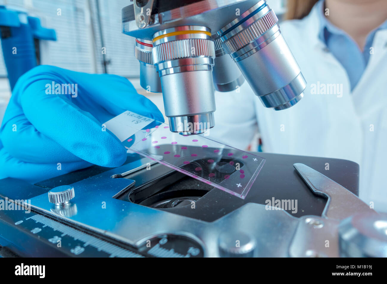 technician woman works with in genetic lab with biological materials ...