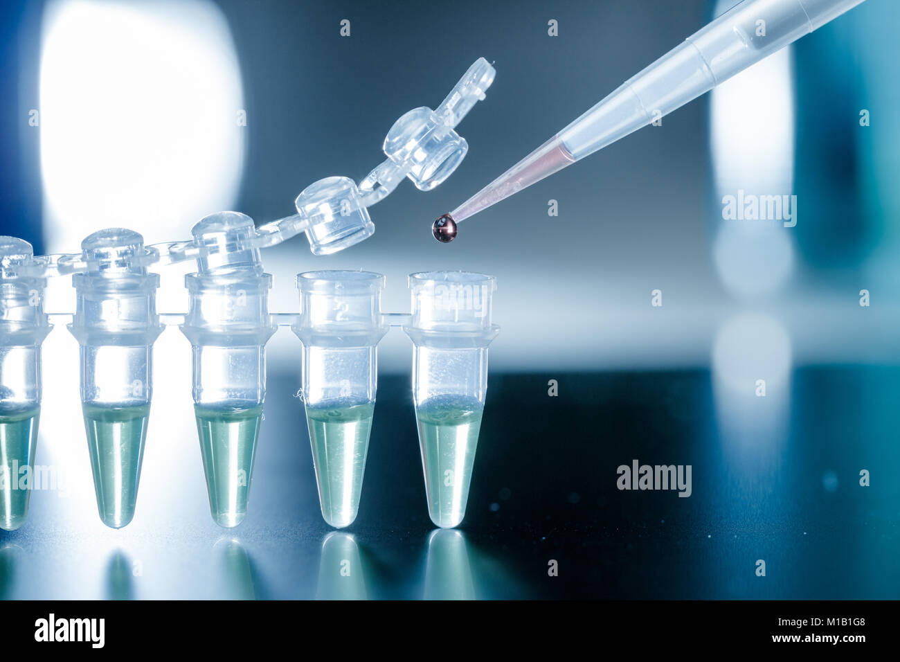 PCR micro tubes strips Stock Photo - Alamy