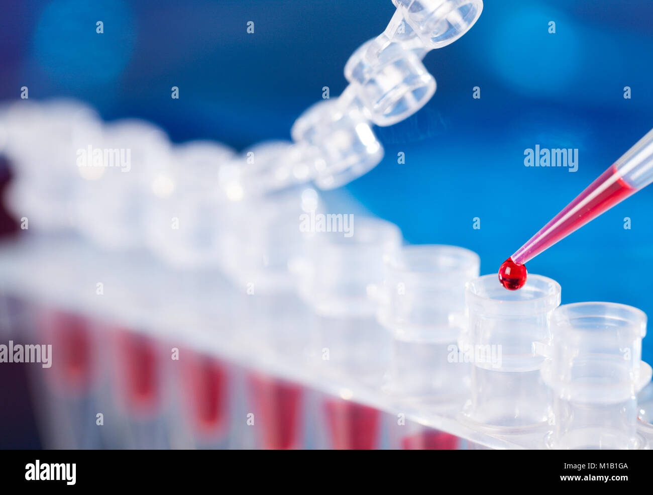 PCR micro tubes strips Stock Photo - Alamy