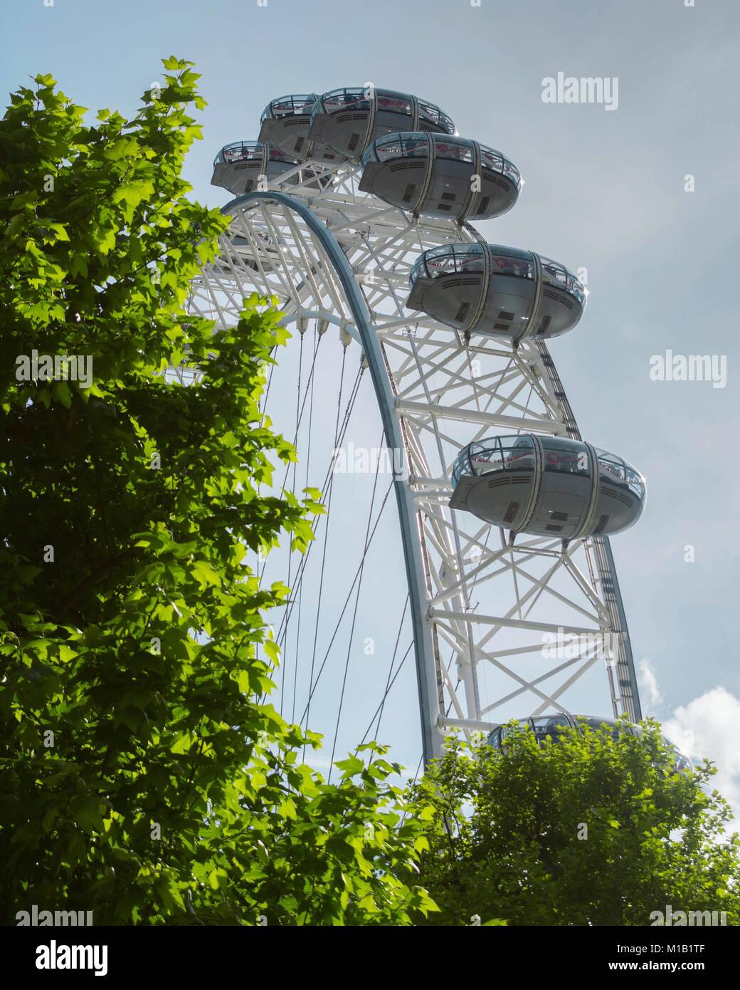 Famous london trees hi-res stock photography and images - Alamy