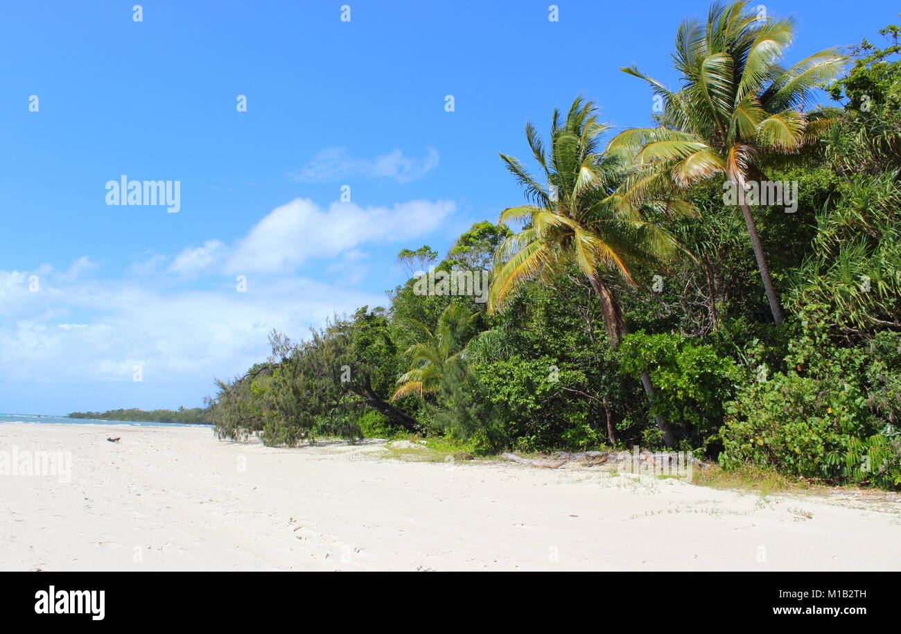 Wonderful Beach in Australia Stock Photo - Alamy
