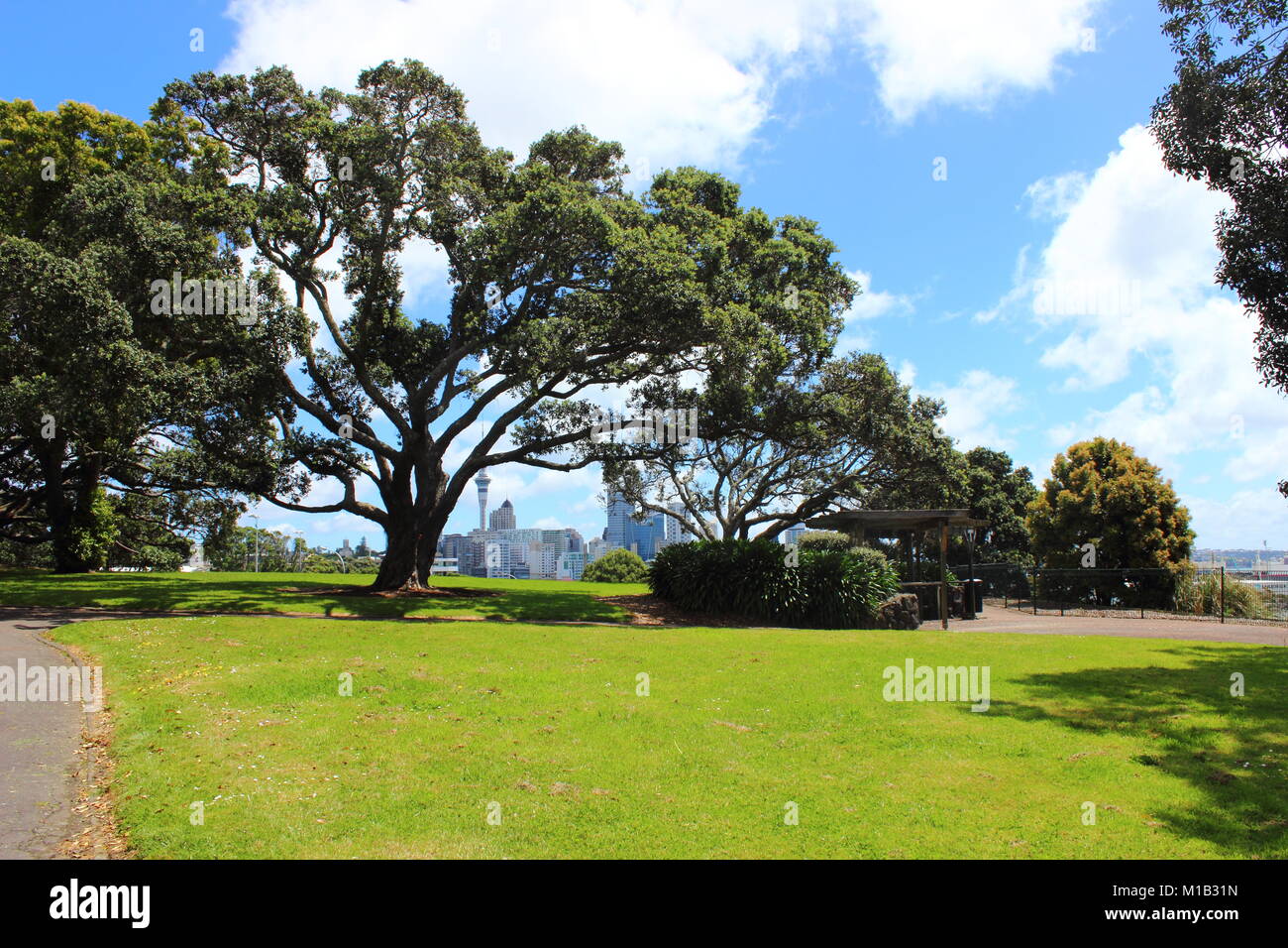 Auckland Park with Skyline in the background Stock Photo - Alamy