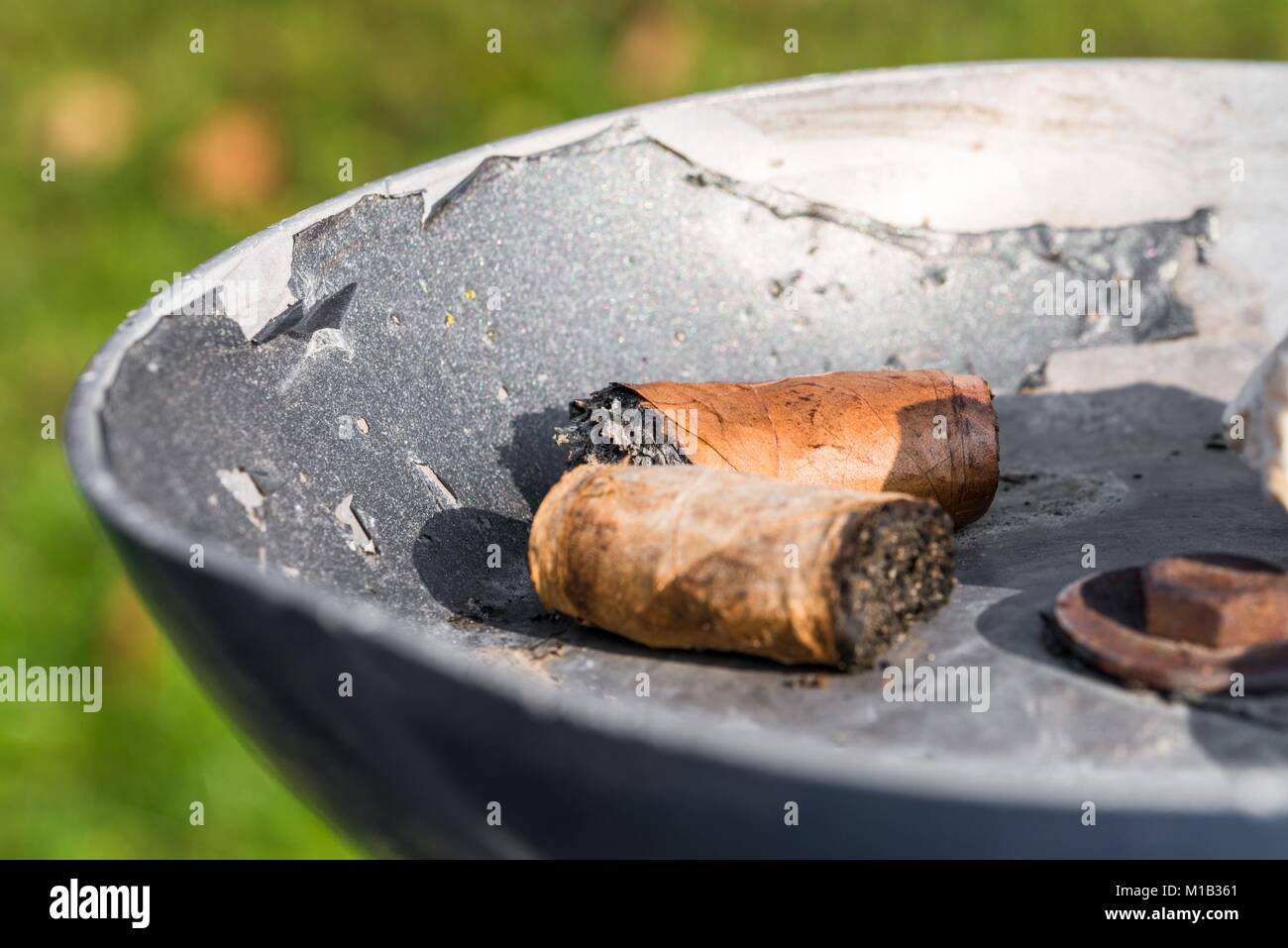 Cigar stubs in an ashtray Stock Photo - Alamy