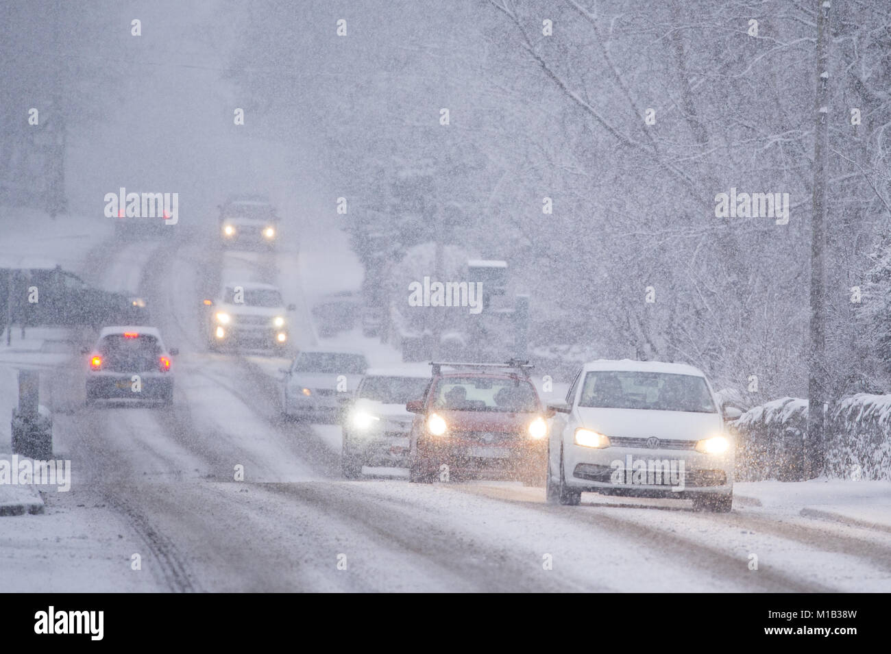 The Scottish Borders has heavy snowfall as parts of Scotland endure ...