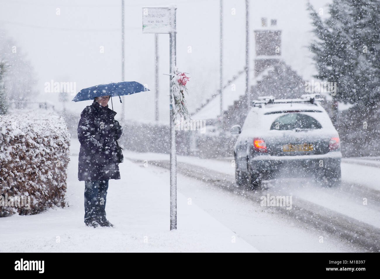 The Scottish Borders has heavy snowfall as parts of Scotland endure ...