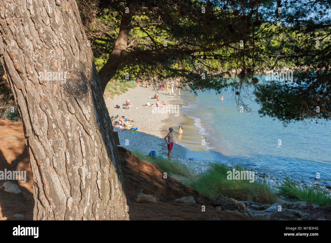 Sand Beach on Saplunara, Mljet island, Croatia Stock Photo - Alamy