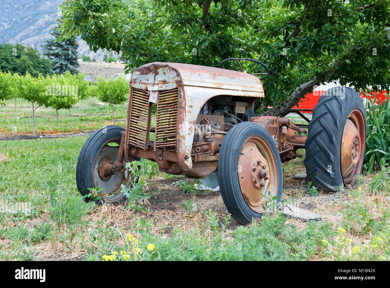 Grey Ferguson Tractor Stock Photo - Alamy