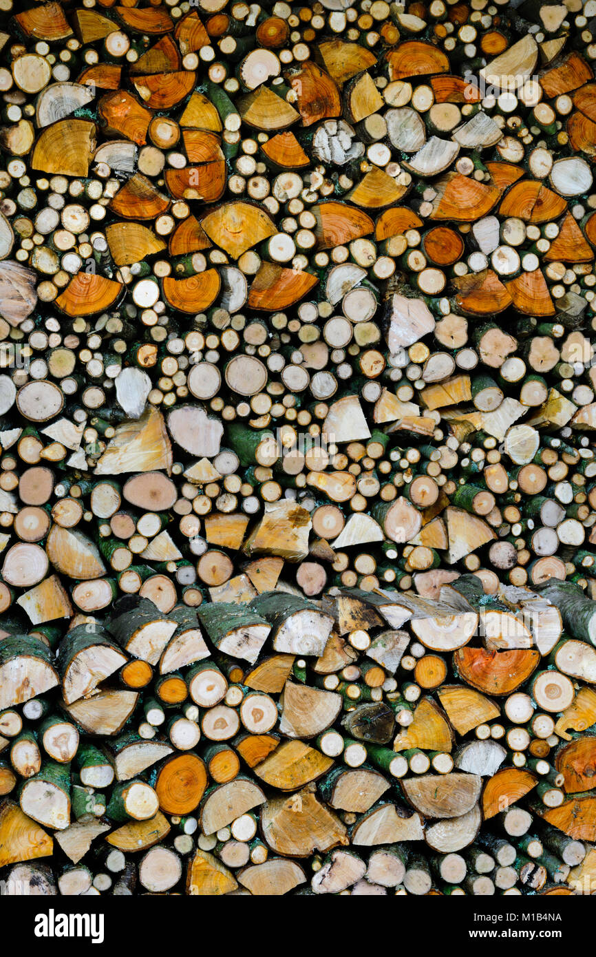 Wood species hi-res stock photography and images - Alamy