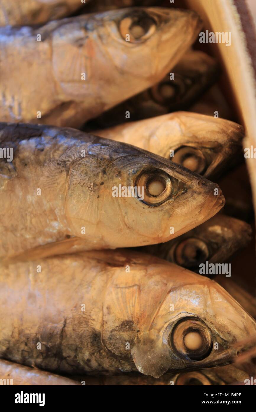 Salted fish products for sale at a market stall in Spain Stock Photo ...
