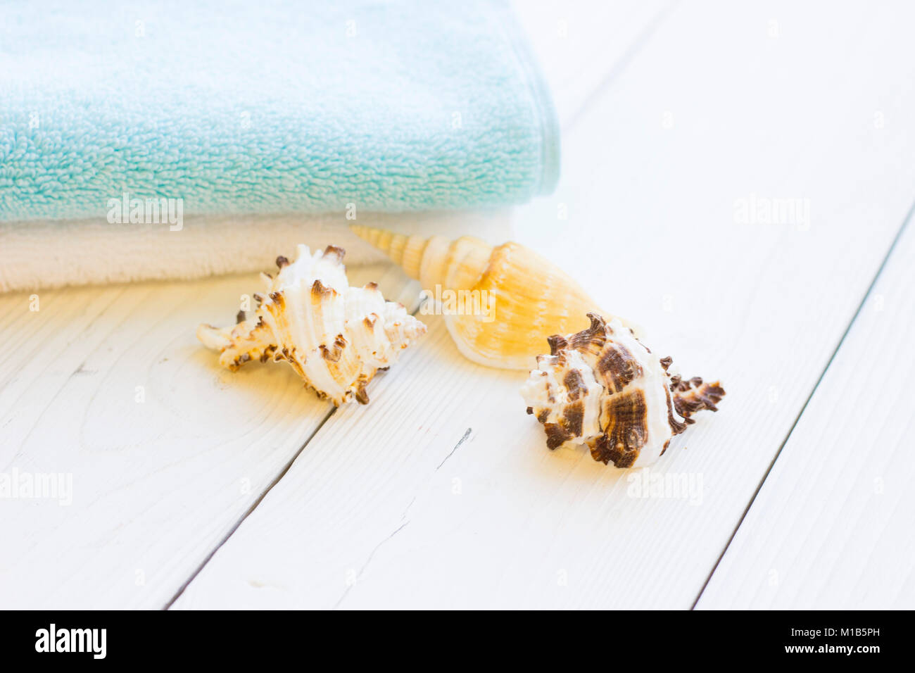 Sea shell spa concept Stock Photo - Alamy