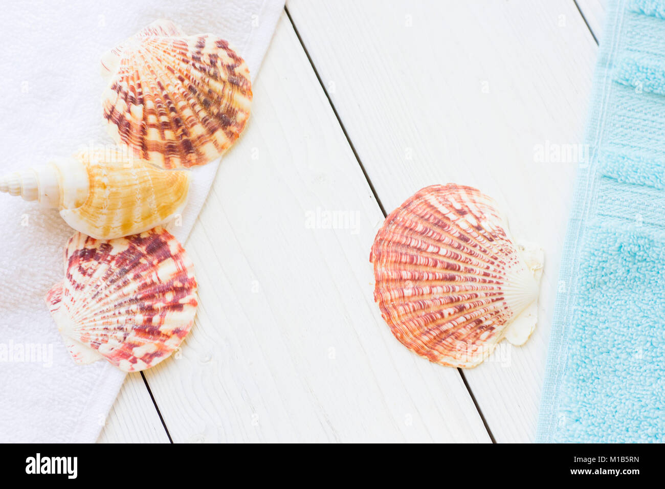 Sea shell spa concept Stock Photo - Alamy
