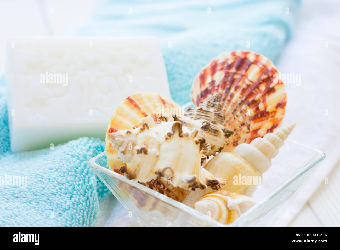 Sea shell spa concept Stock Photo - Alamy