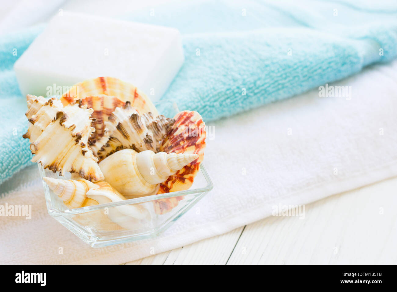 Sea shell spa concept Stock Photo - Alamy