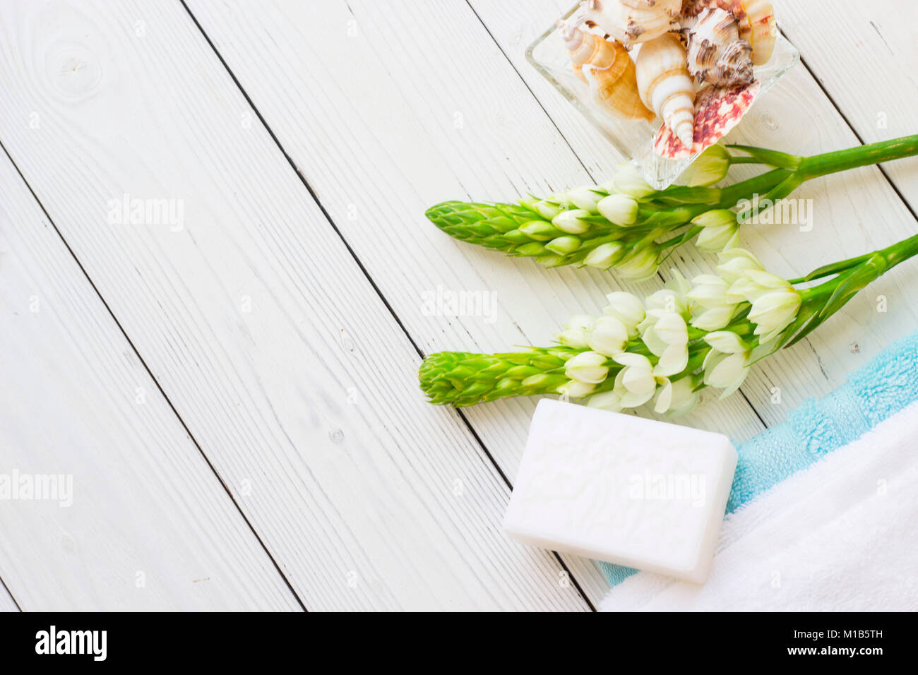 Sea shell spa concept Stock Photo - Alamy